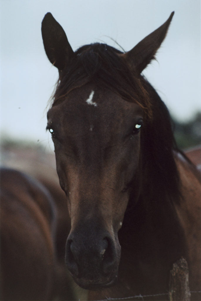 Artist Talk – Jonathan Schmidt-Ott – Galerie Michael Janssen